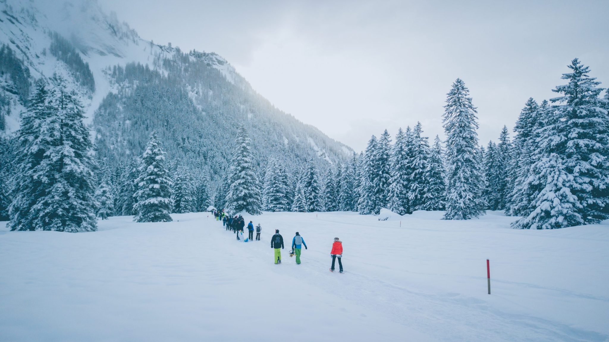 Team Building pour Entreprise en Suisse | Agence Dynam